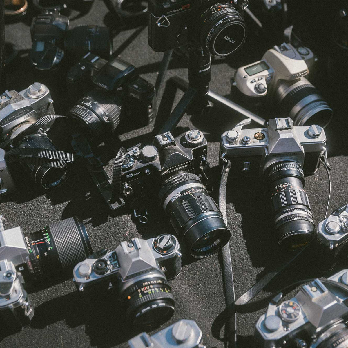 All Cameras – F16 Film Camera Store